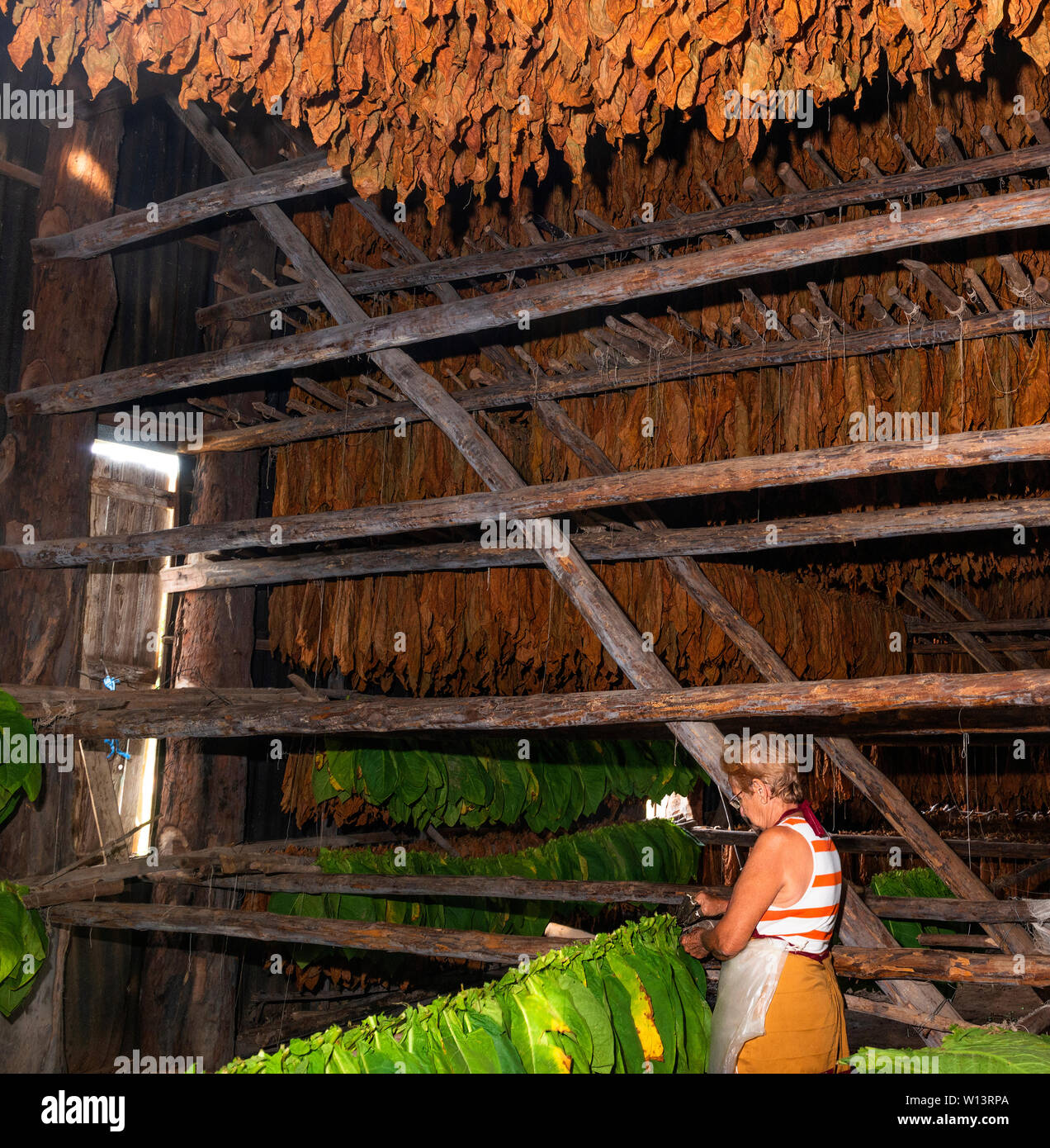 Tobacco Drying Shed Stock Photos & Tobacco Drying Shed Stock Images - Alamy