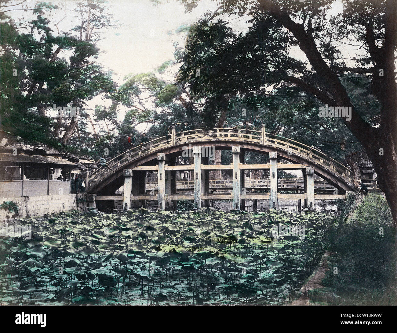 [ 1890s Japan - Soribashi Drum Bridge, Osaka ] — Lotus pond below ...