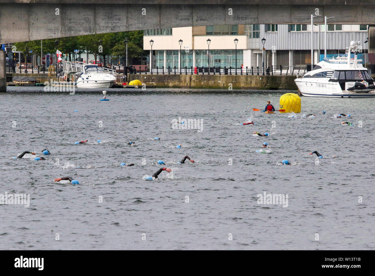 Swimming belfast harbour hi-res stock photography and images - Alamy
