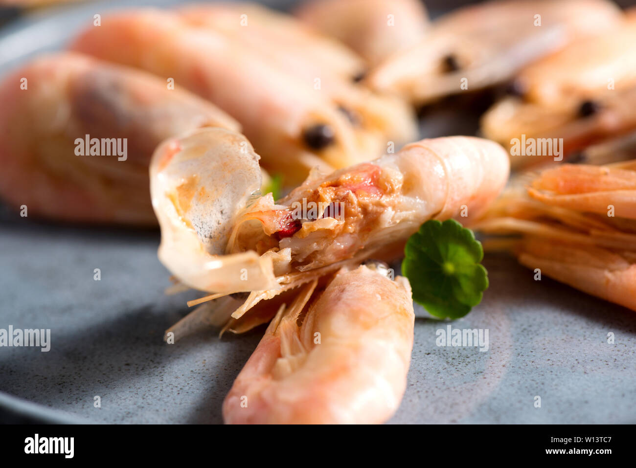 Seafood Arctic shrimp Stock Photo - Alamy