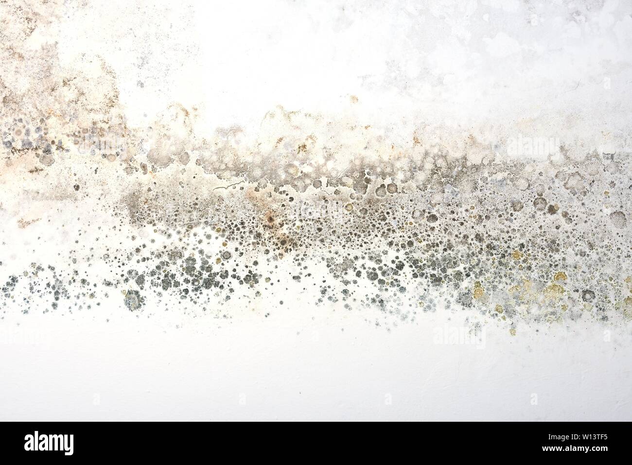 Mouldy walls hi-res stock photography and images - Alamy