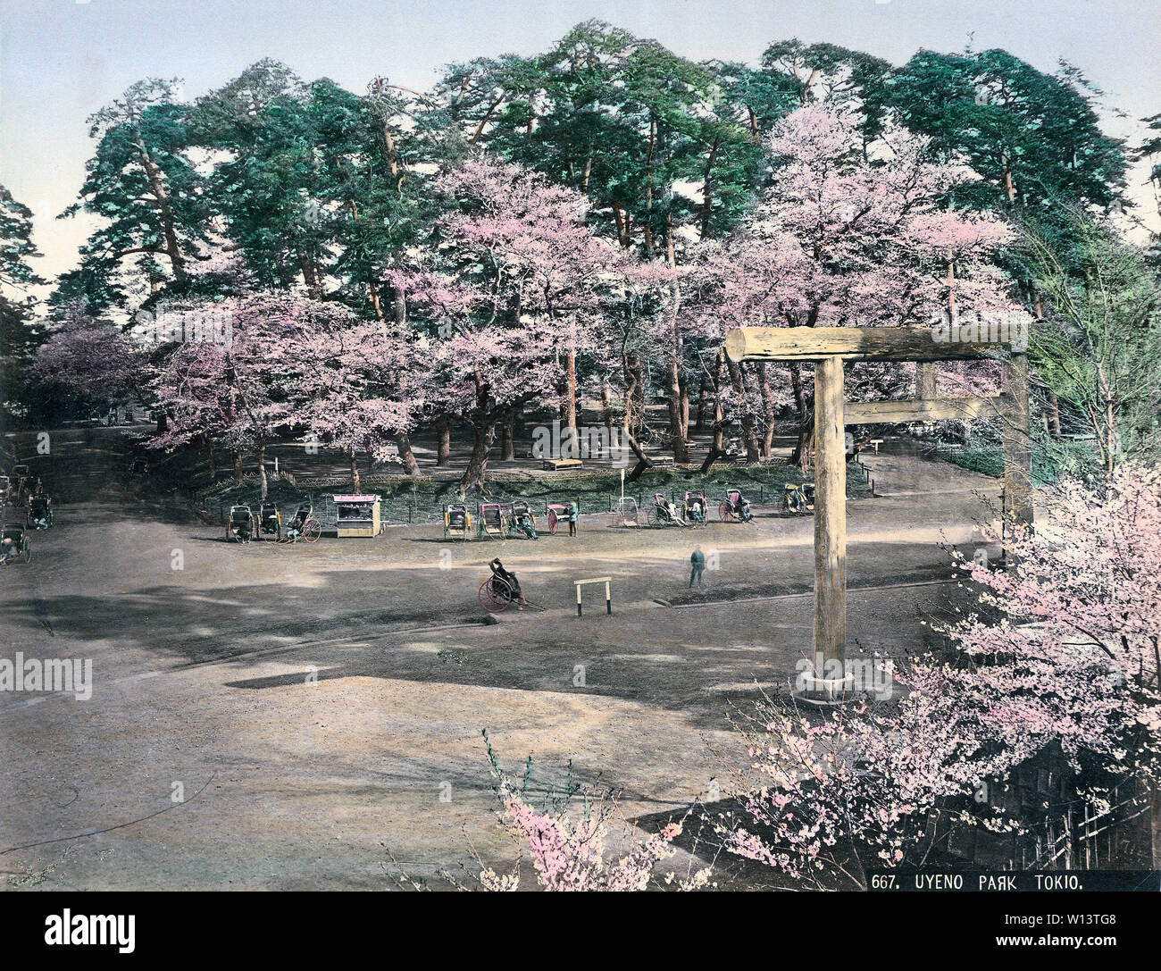 [ 1890s Japan - Ueno Park, Tokyo ] — A row of rickshaws parked below ...