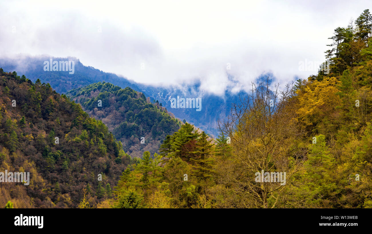 Ganhaizi hi-res stock photography and images - Alamy