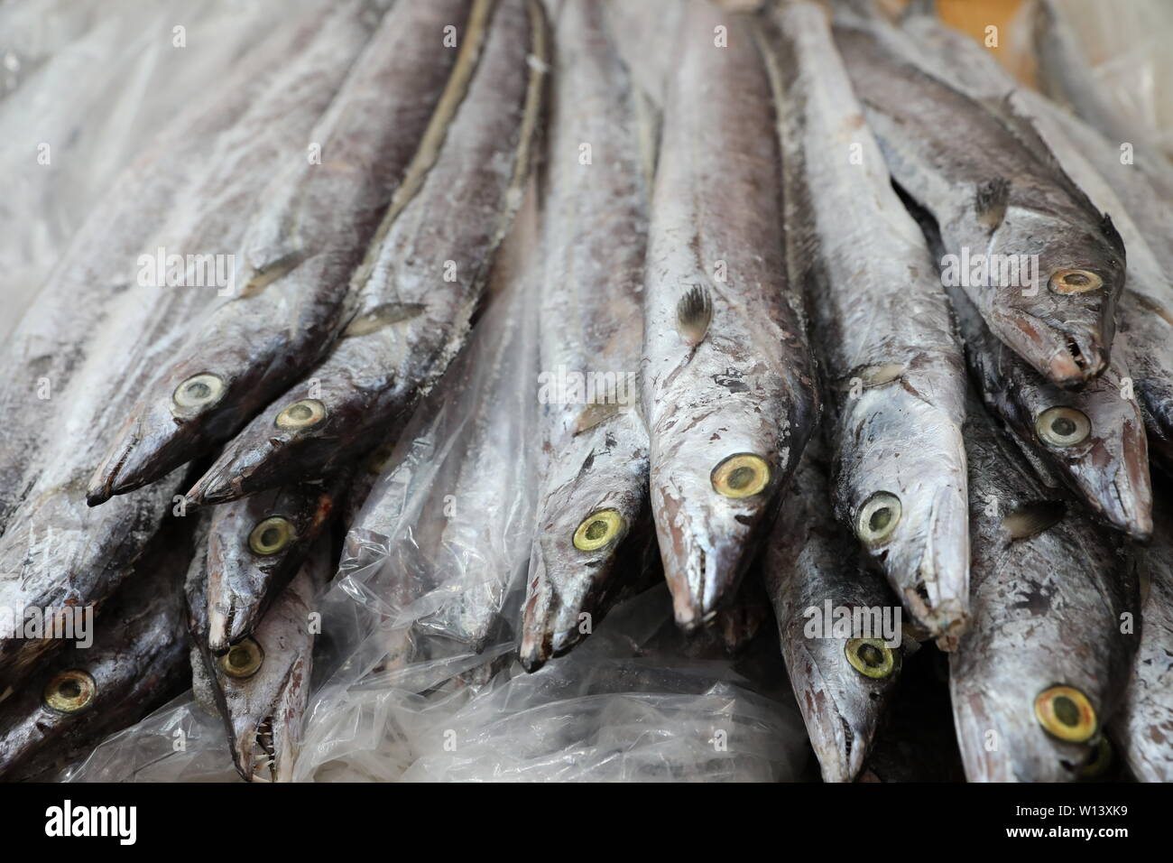 Bring fish hi-res stock photography and images - Alamy