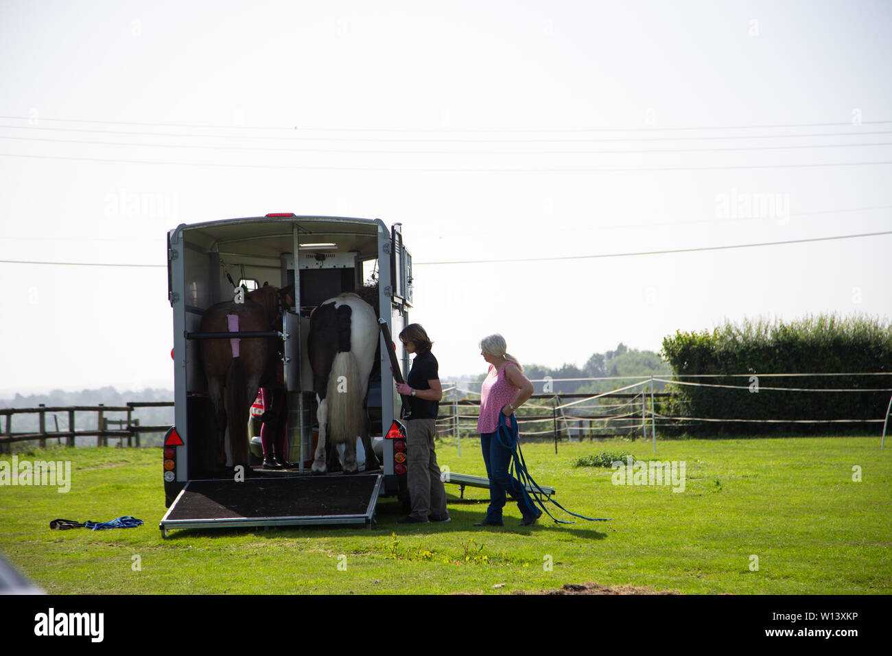 Loading horses into horse box ready for a marathon hack at Ride for ...
