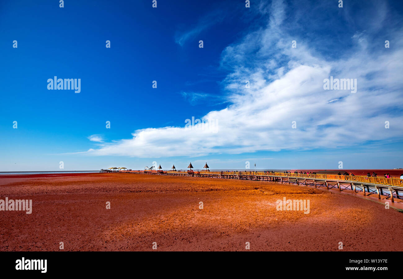 Photographed at Panjin Red Beach Stock Photo - Alamy
