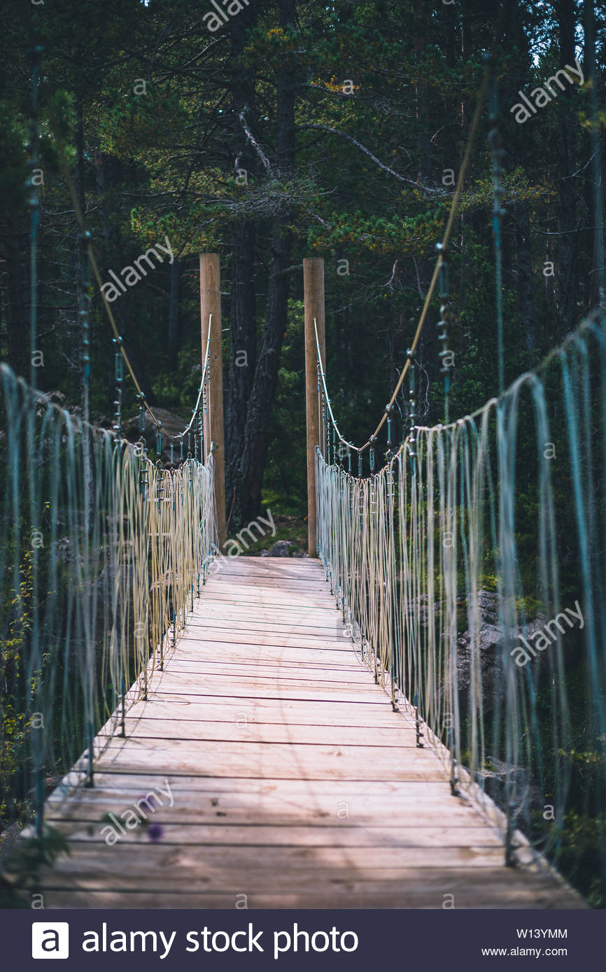 Forest Rope Bridge Hike Stock Photos & Forest Rope Bridge Hike Stock ...