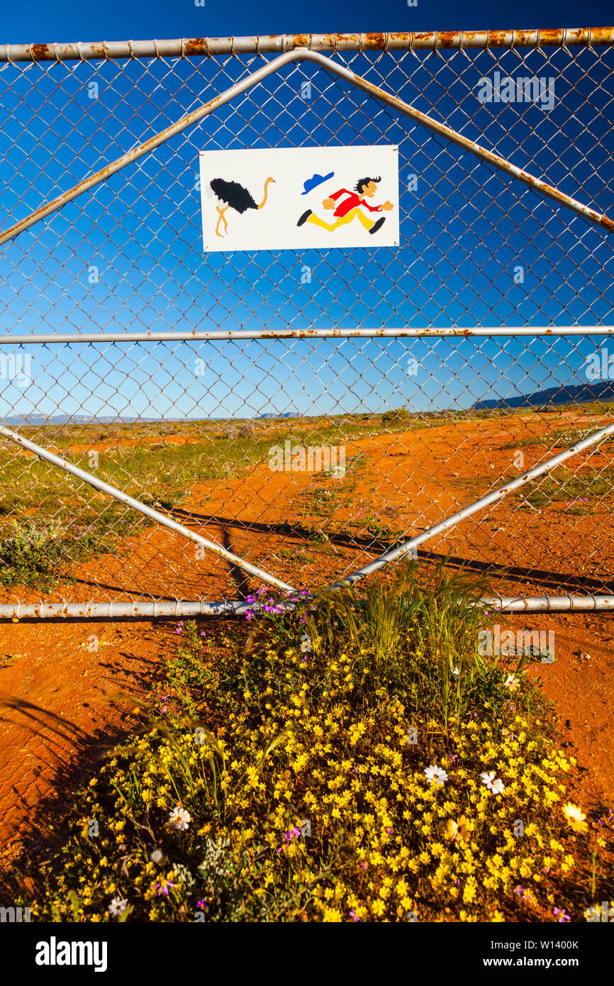 Vanrhynsdorp, Western Cape province, South Africa, Africa Stock Photo ...