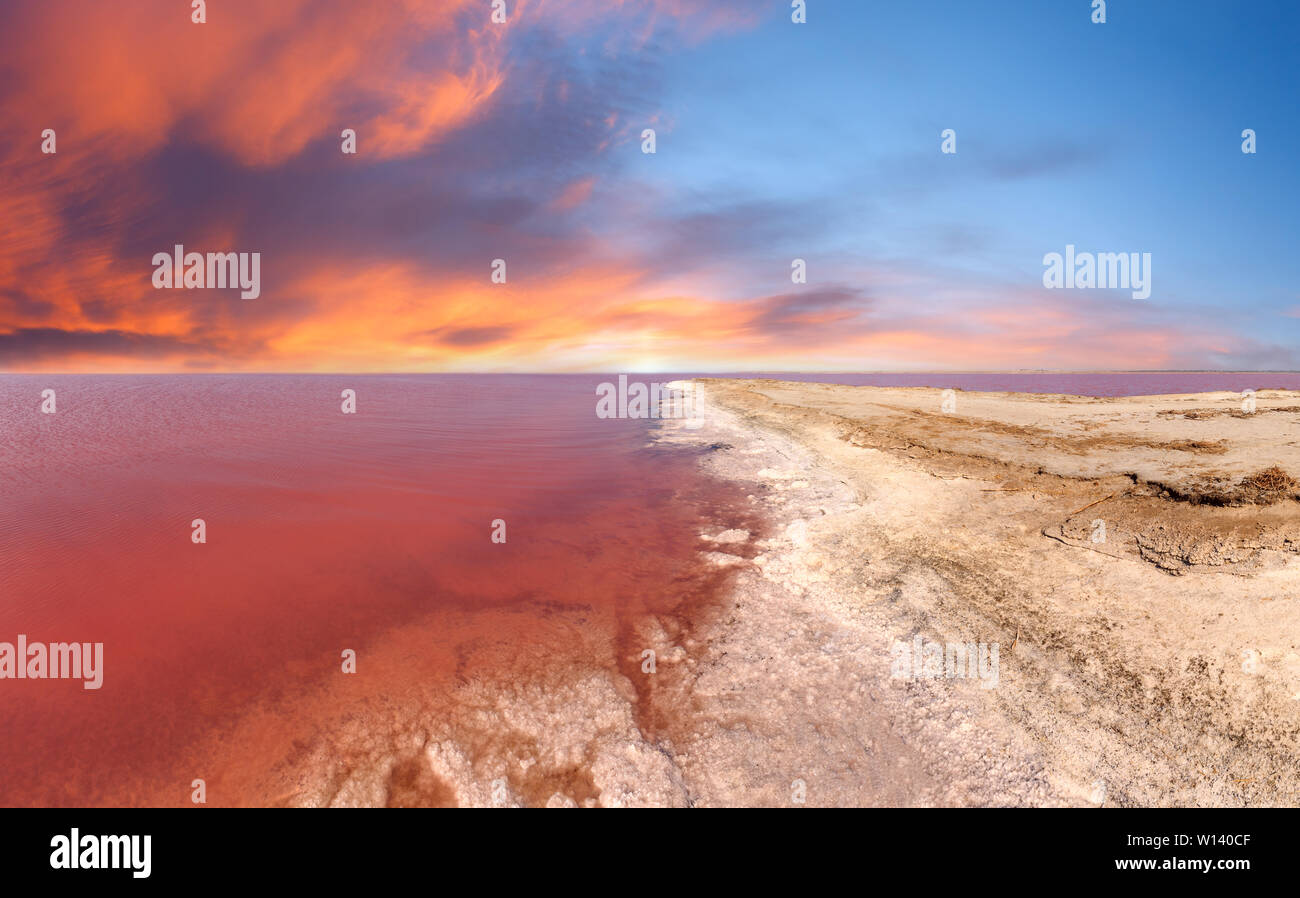 Red sunset above pink extremely salty Syvash Lake, colored by ...