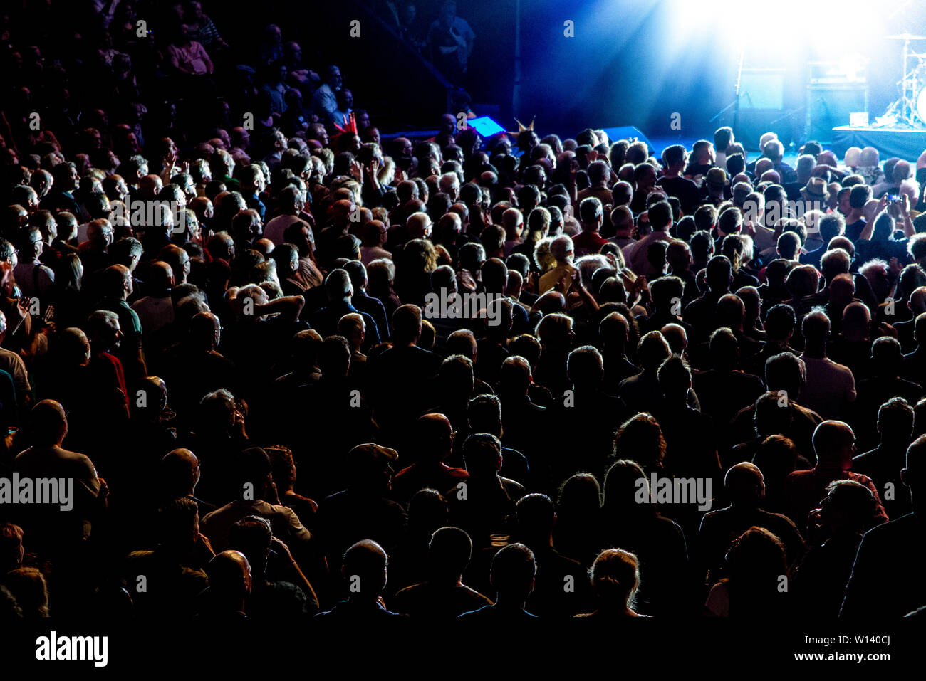 Buzzcocks hi-res stock photography and images - Alamy