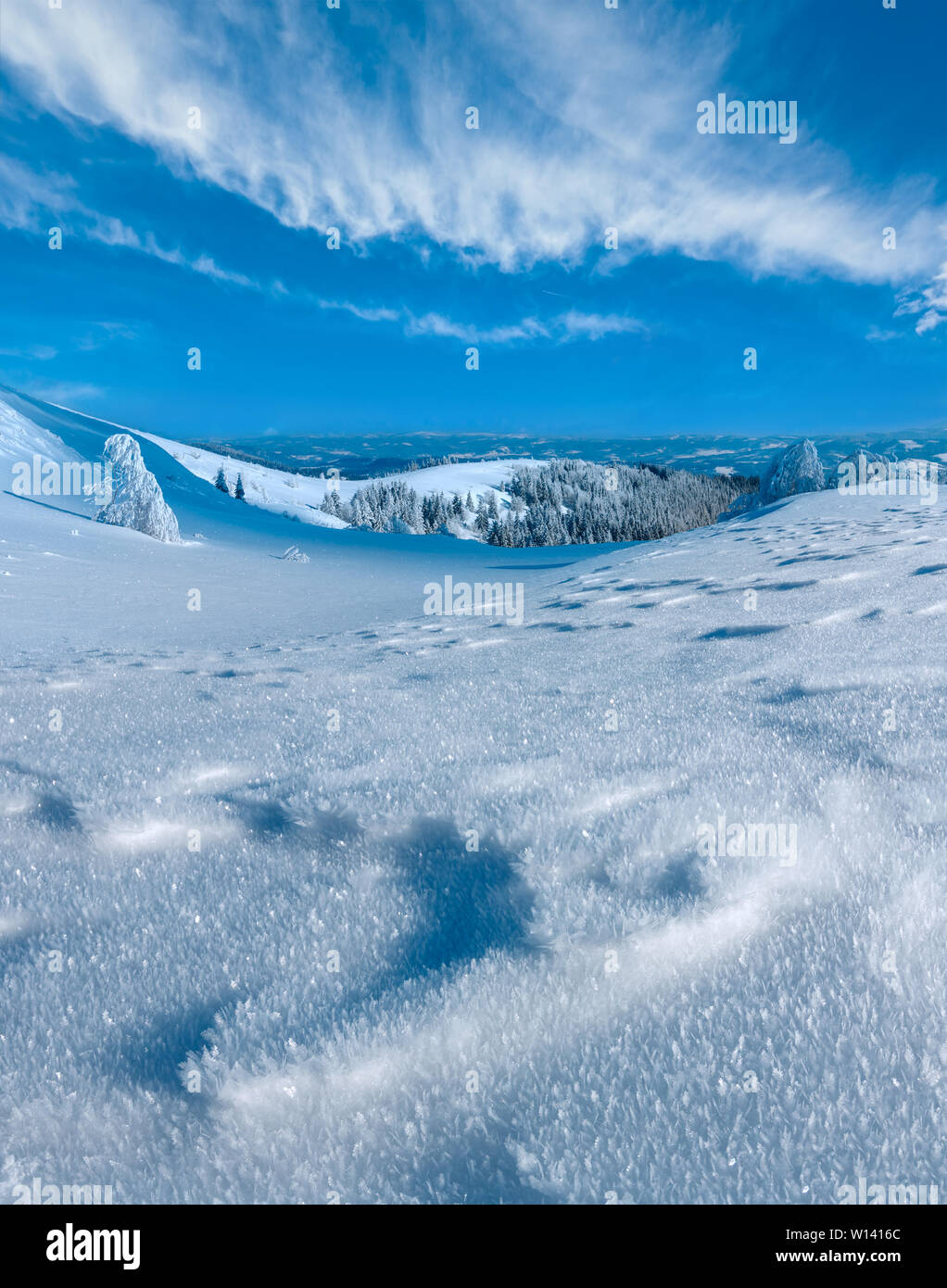 Winter calm mountain landscape with beautiful frosting trees and ...