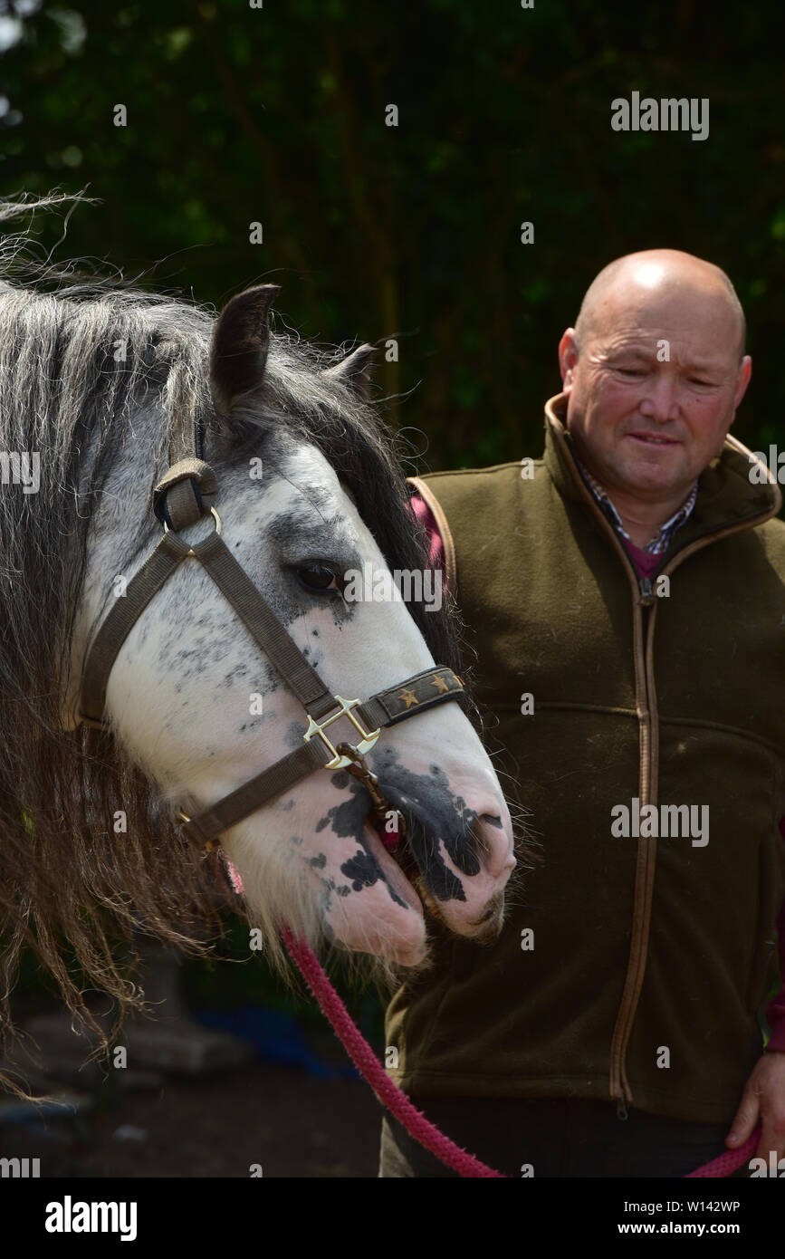 Romany Traveller Tom Price at home in Pencoed with his partner Luanne ...