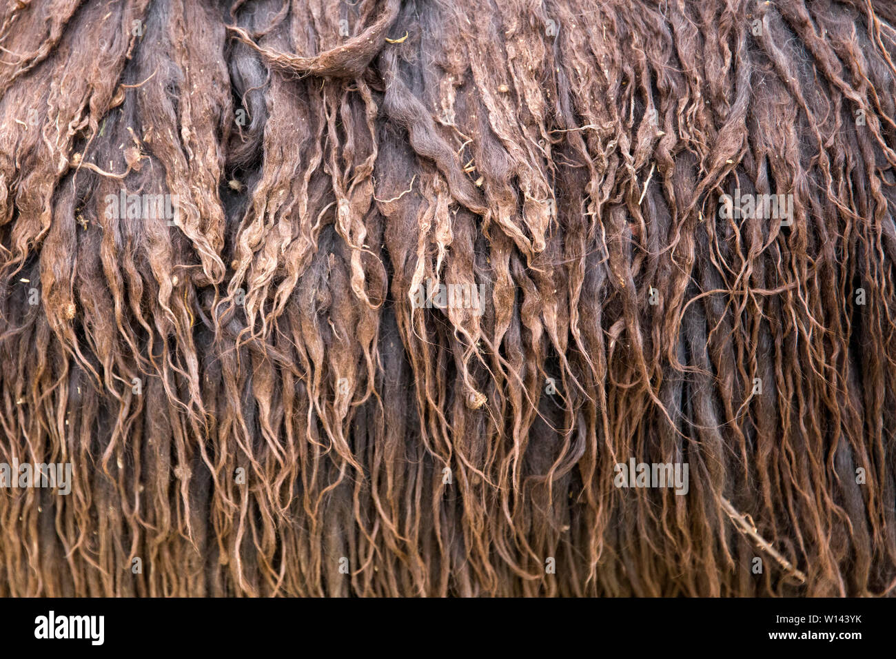 Alcapa hi-res stock photography and images - Alamy