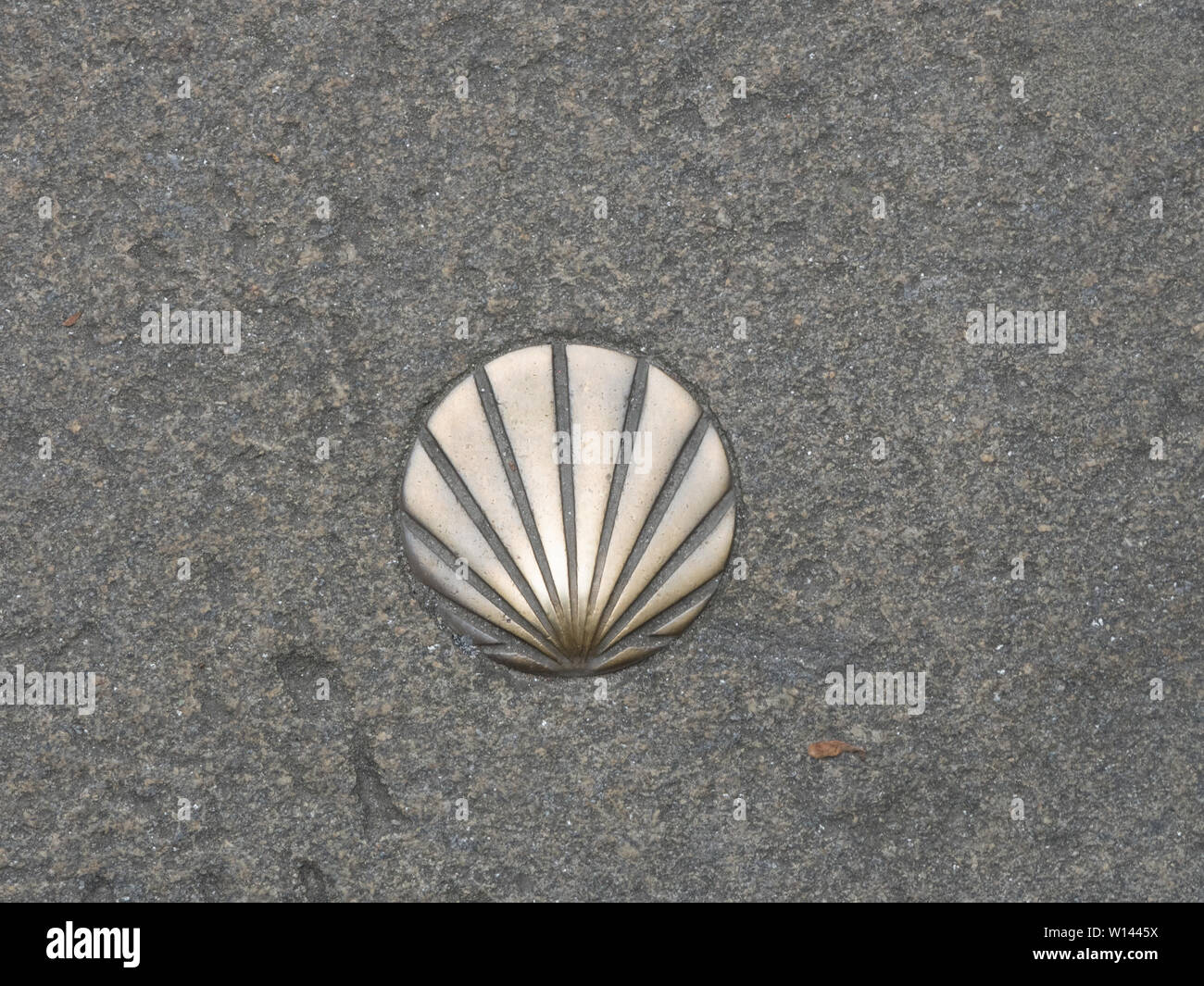 St james shell hi-res stock photography and images - Alamy