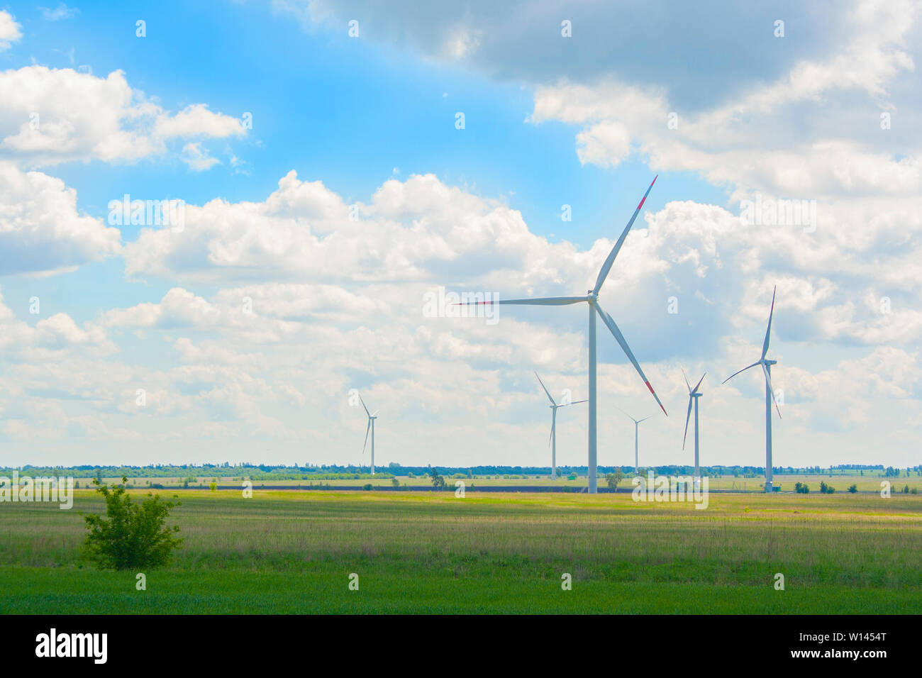 Many big and high windmills at sunny day on the green field ...