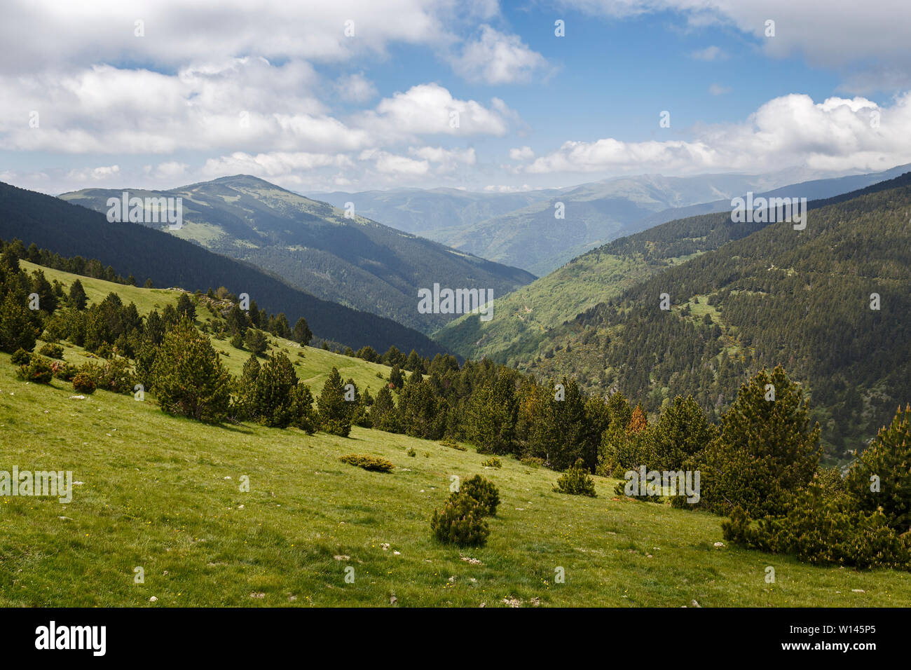 Coll d'Ares beautiful landscape, Catalan Pyrenees Stock Photo - Alamy