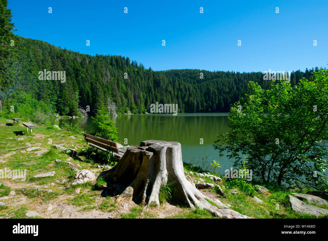 Lac vert hi-res stock photography and images - Alamy