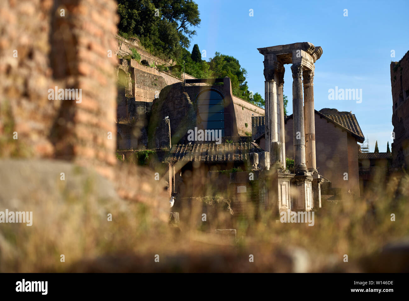 Ancient Roman forum in Rome, Italy Stock Photo - Alamy