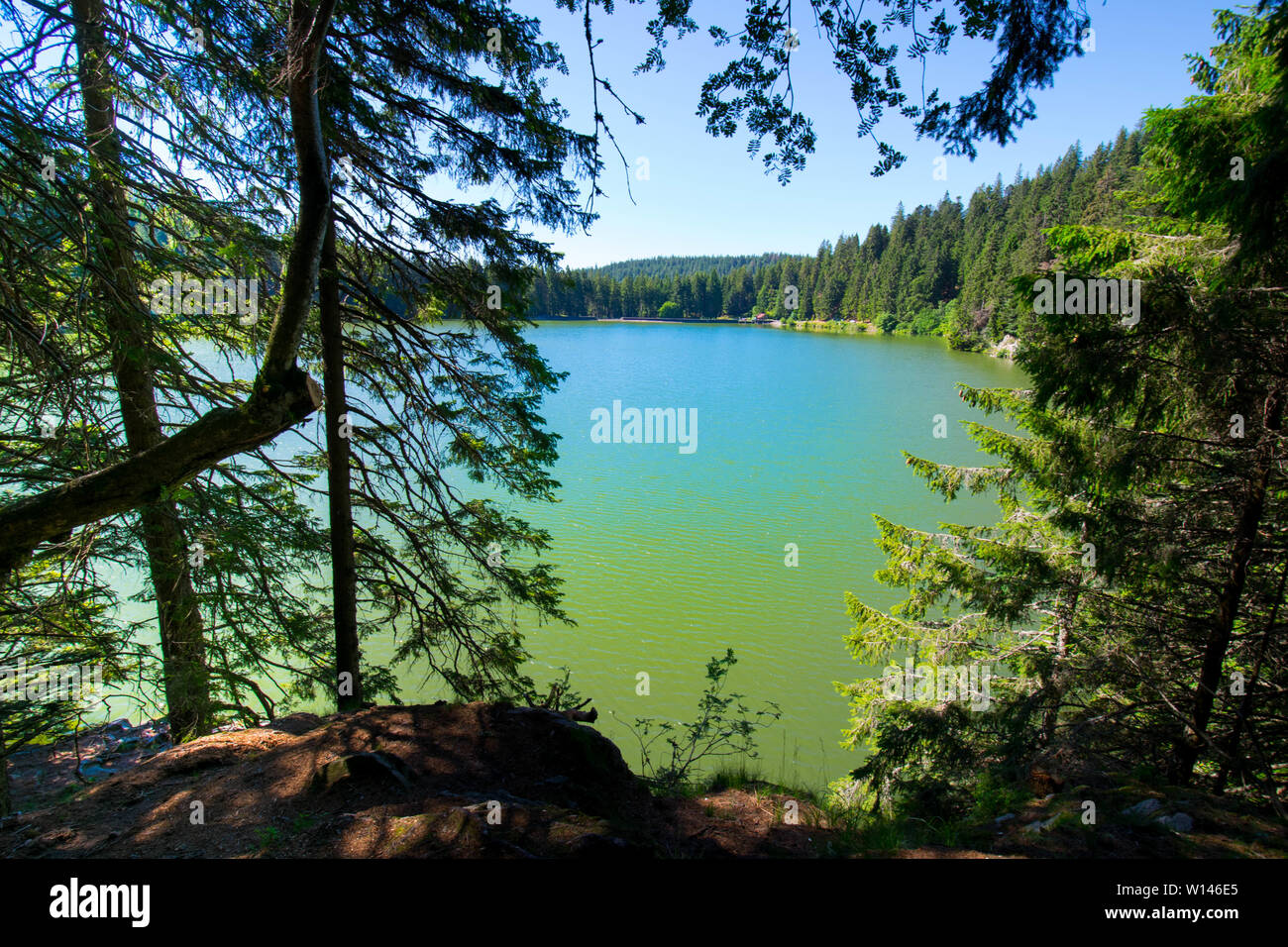Lac vert france hi-res stock photography and images - Alamy