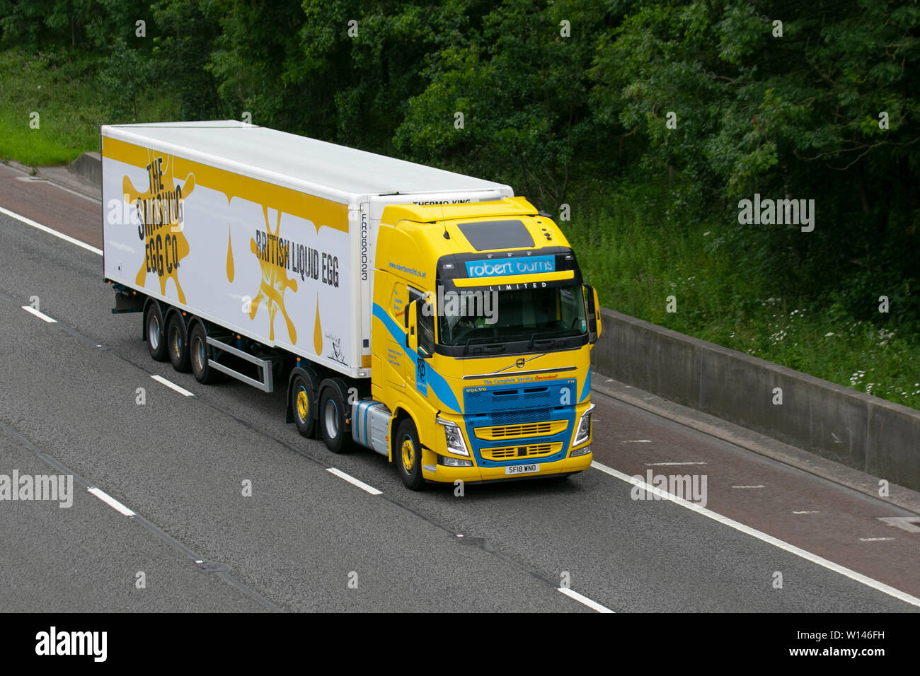 Egg transport hi-res stock photography and images - Alamy