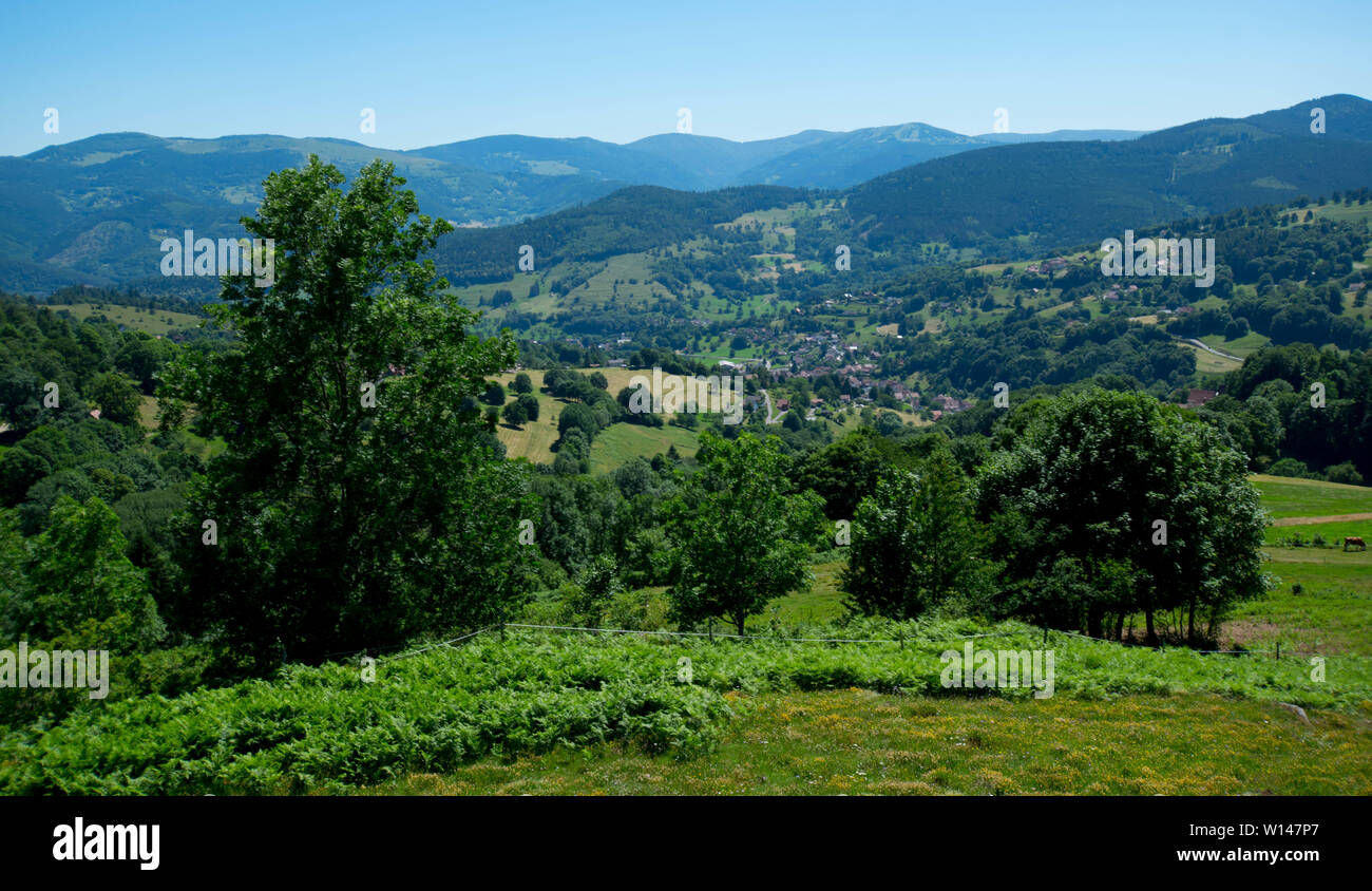 landscape in the vosges mountains in france Stock Photo - Alamy