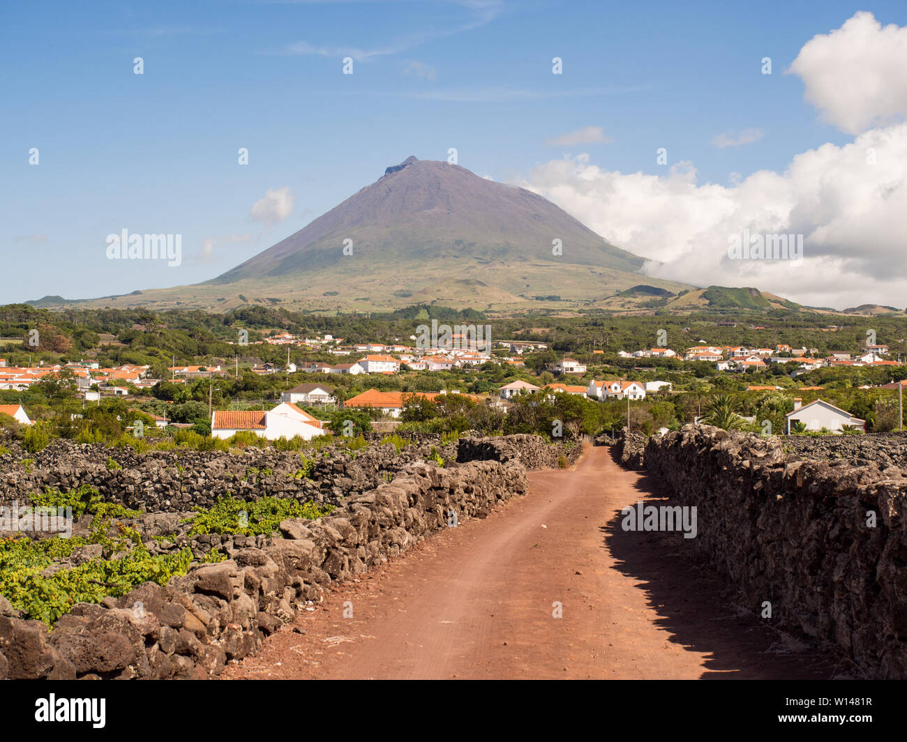 Mount Pico with vineyards and villages in the foreground, Pico Island ...