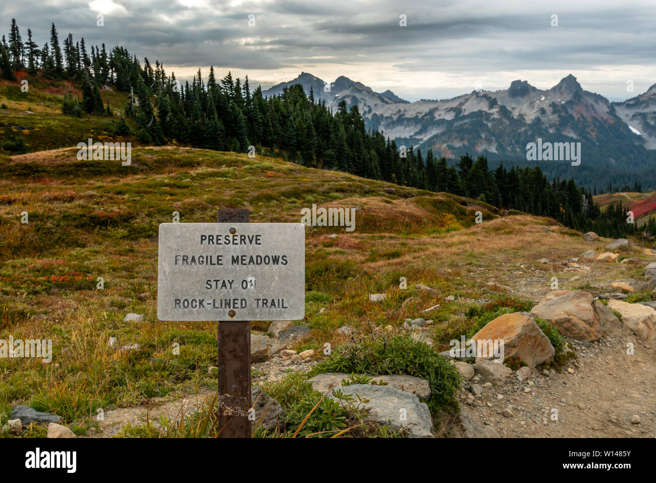 Preserve Fragile Meadows Sign with mountains behind In Mt. Rainier ...