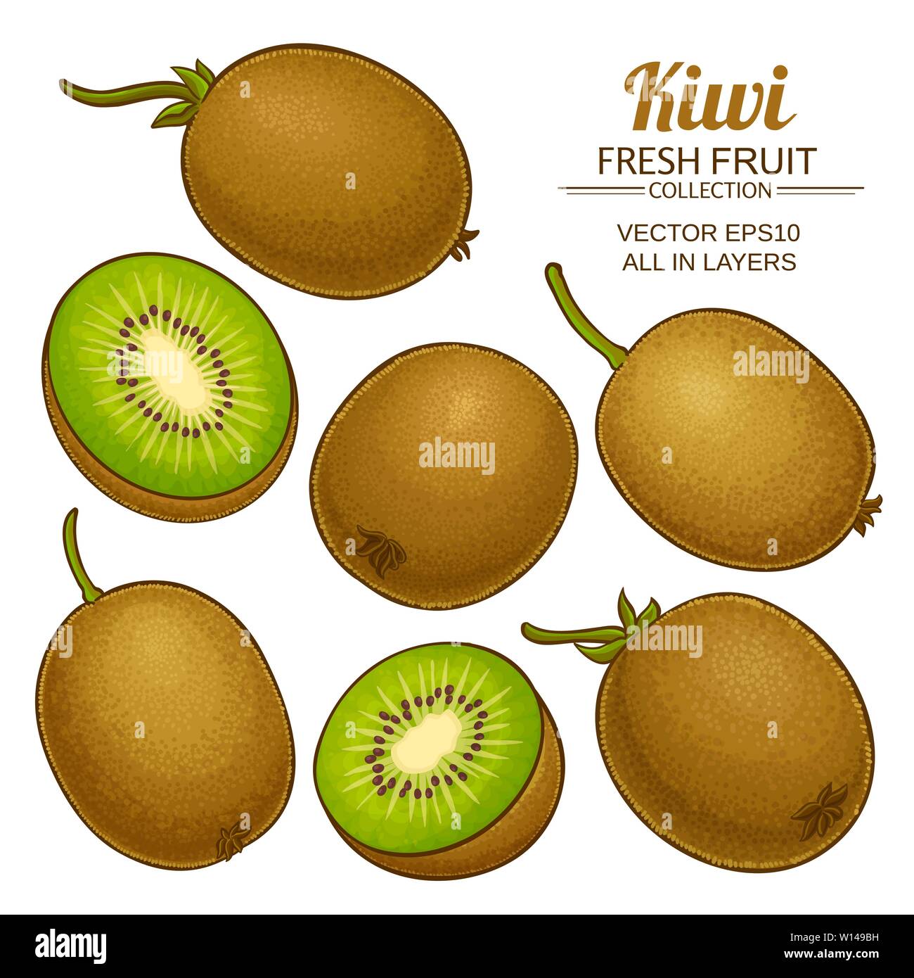kiwi vector set on white background Stock Vector Image & Art - Alamy