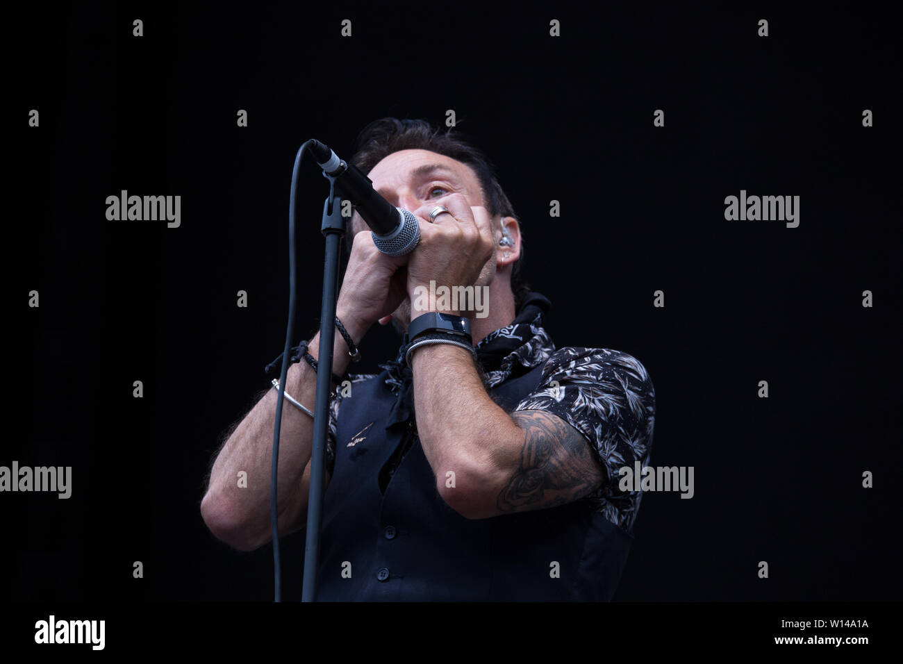 Johnny mac and the faithful hi-res stock photography and images - Alamy