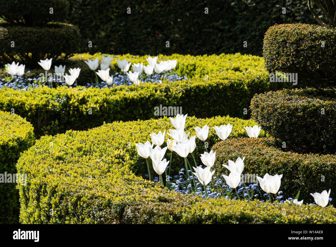 Wyken hall hi-res stock photography and images - Alamy