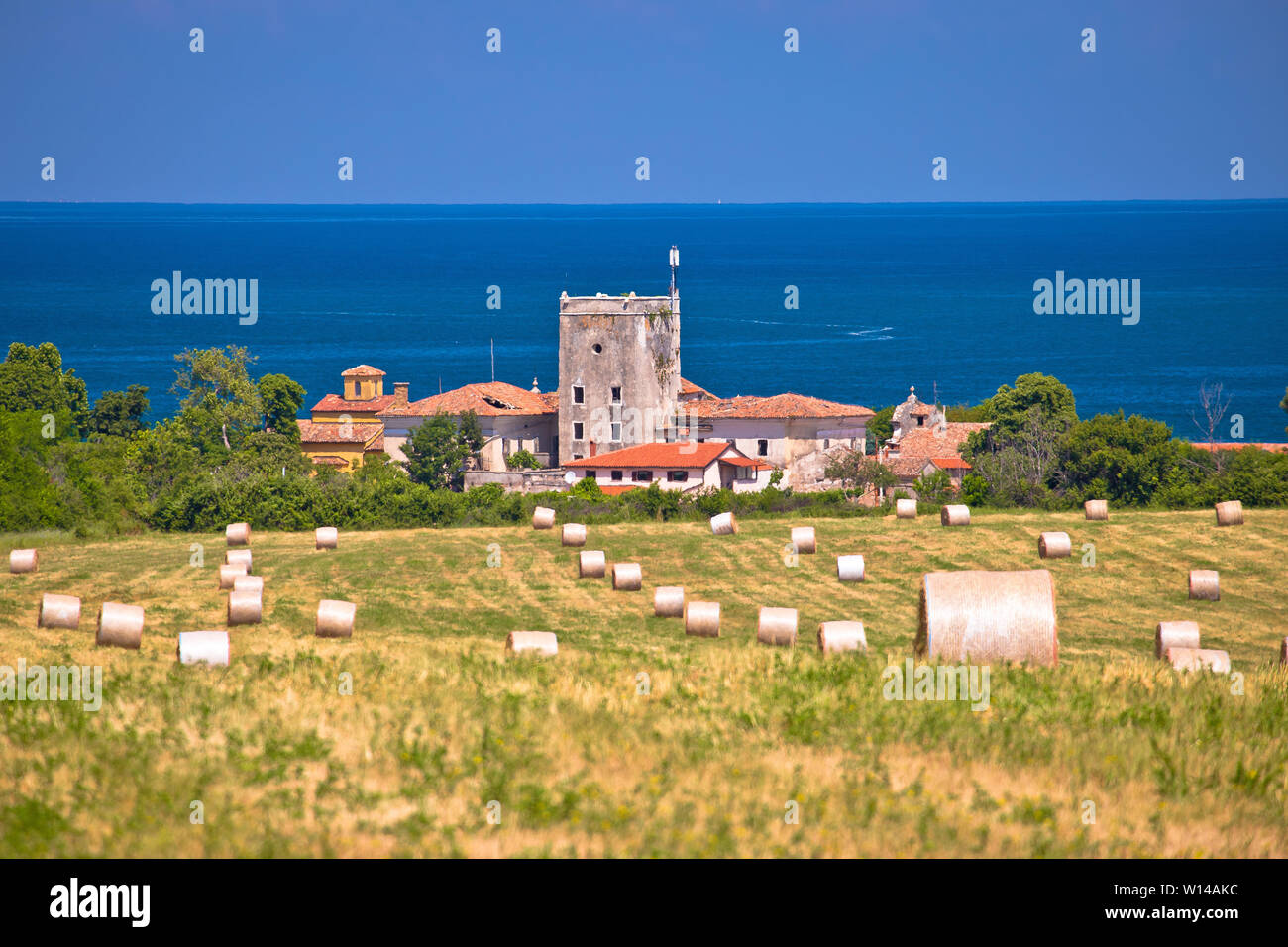 Dajla hi-res stock photography and images - Alamy