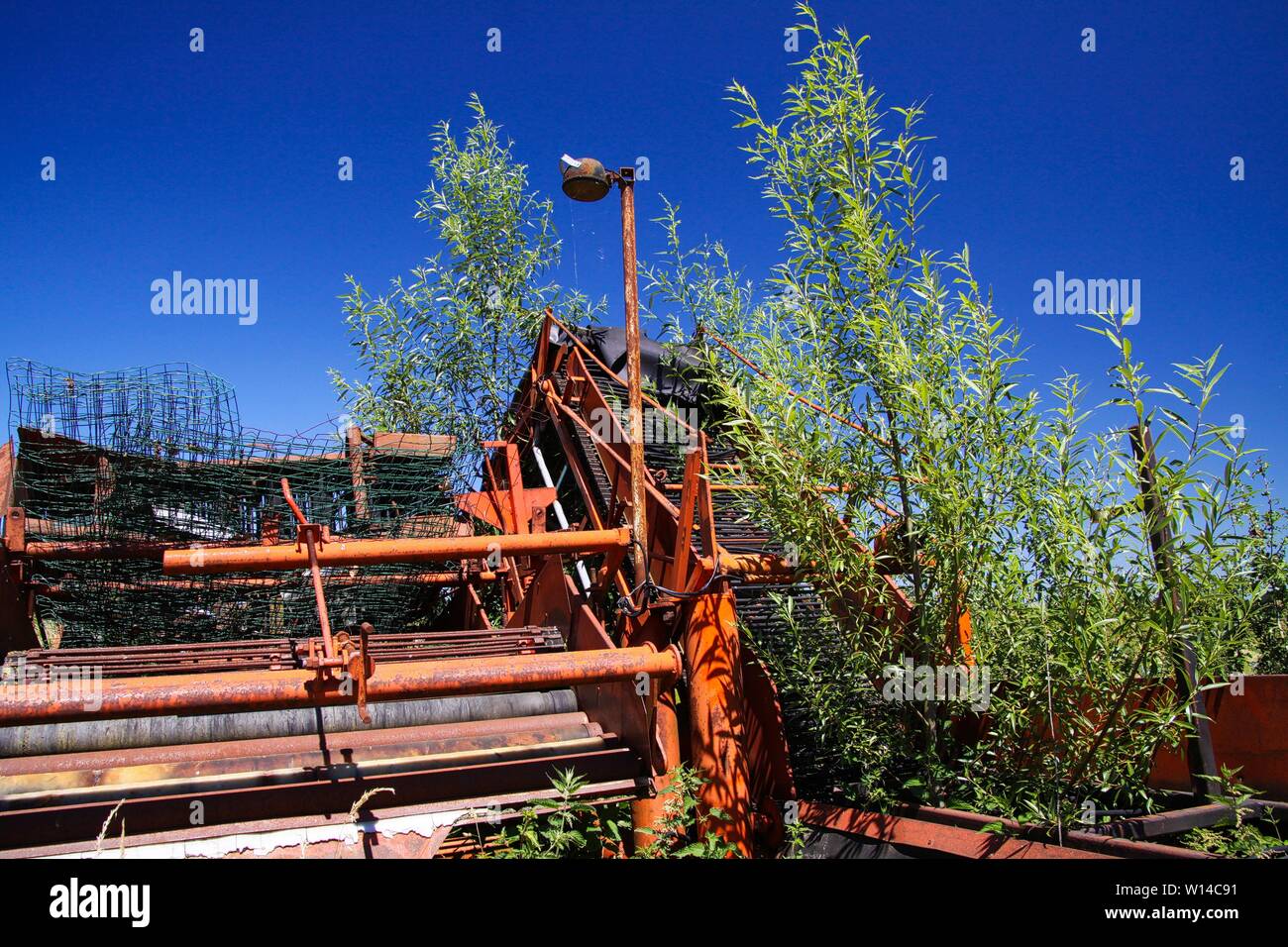 Rank with weeds hi-res stock photography and images - Alamy