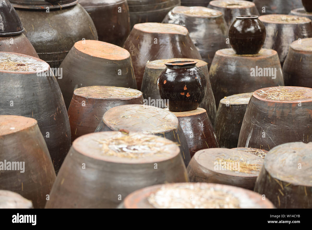 Prepare kimchi hi-res stock photography and images - Alamy