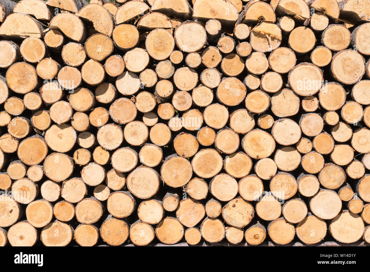 Pile of stacked firewood logs Stock Photo - Alamy
