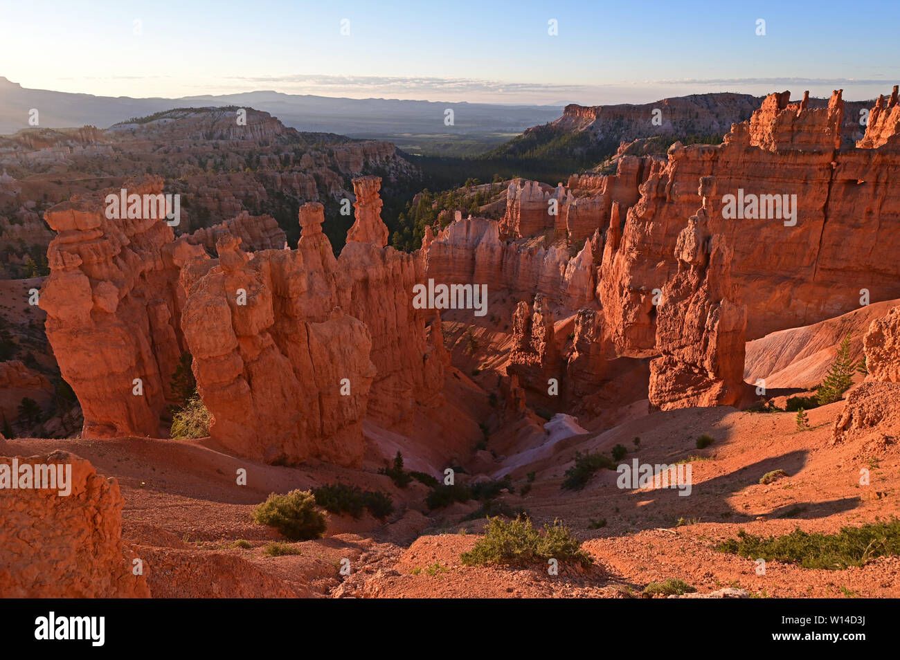 The Navajo Loop Trail in Bryce Canyon National Park, Utah at sunrise ...