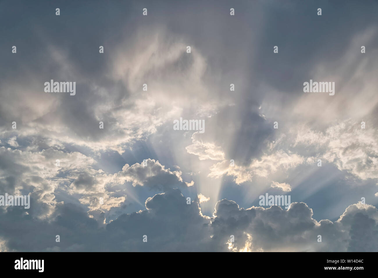 Stratocumulus Crepuscular