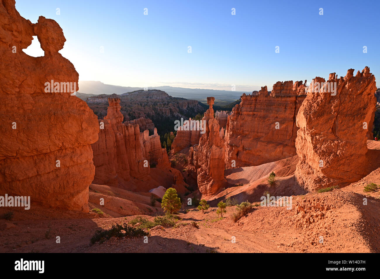 The rock formation known as Thor's Hammer in Bryce Canyon National Park ...