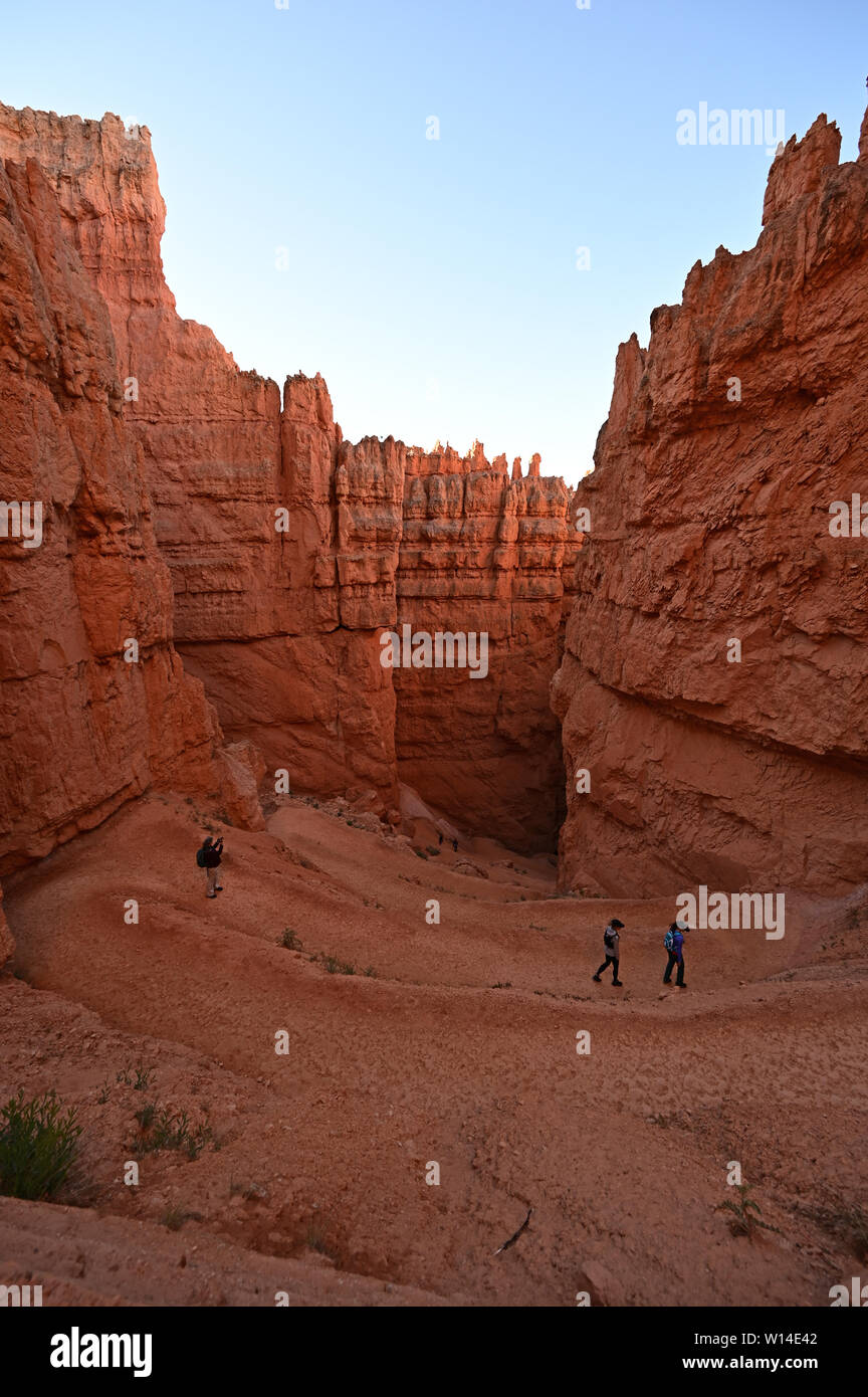 Distant hikers descending the switchbacks of the Navajo Loop Trail in ...