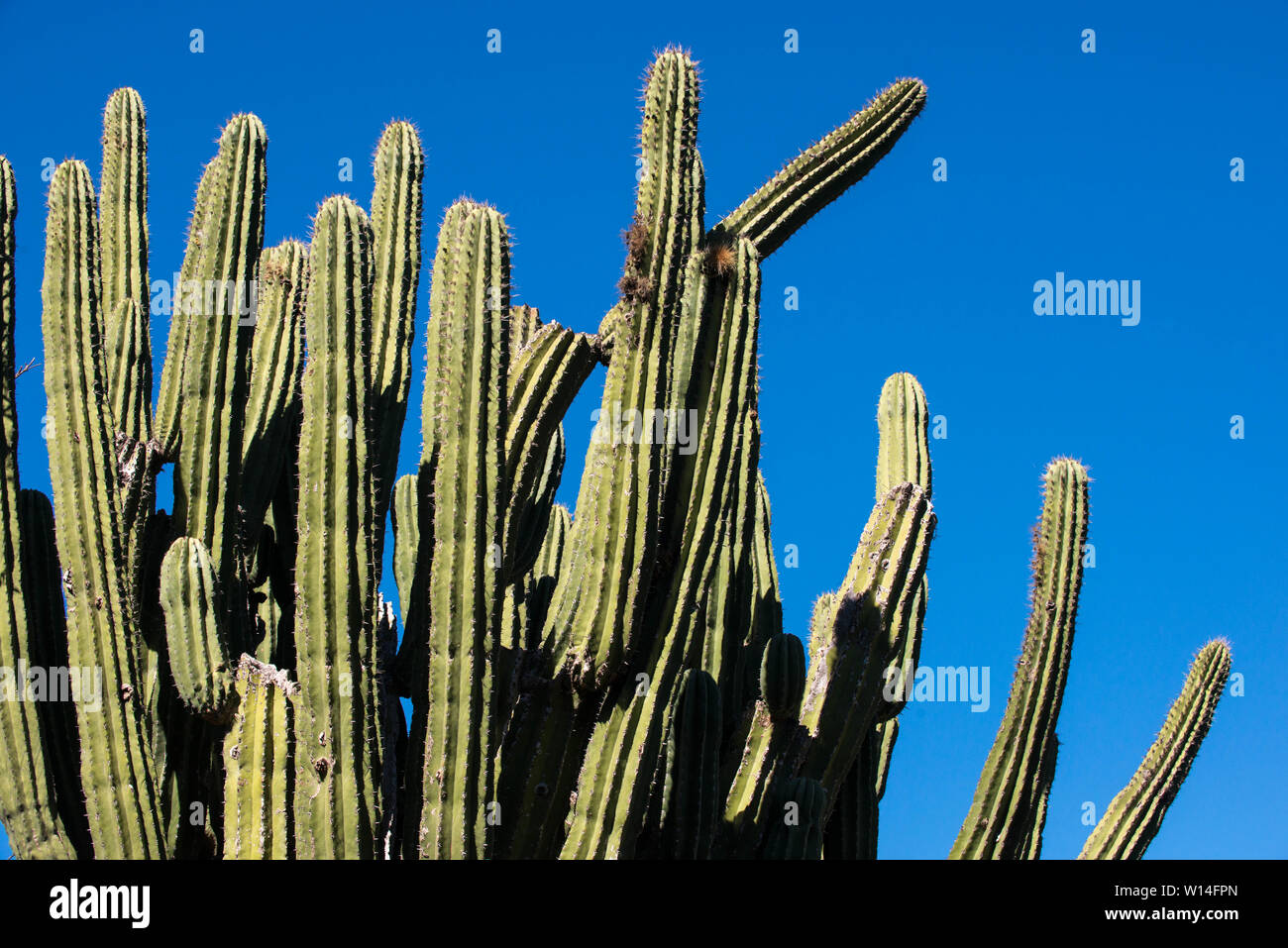 Playa Mayto, Jalisco. Mexico Stock Photo - Alamy