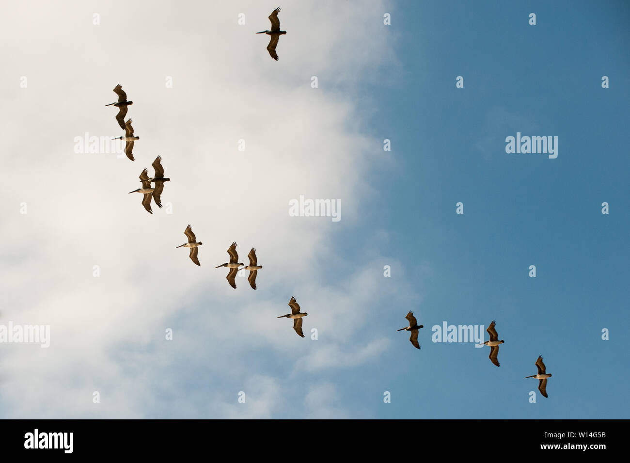 Playa Mayto, Jalisco. Mexico Stock Photo - Alamy