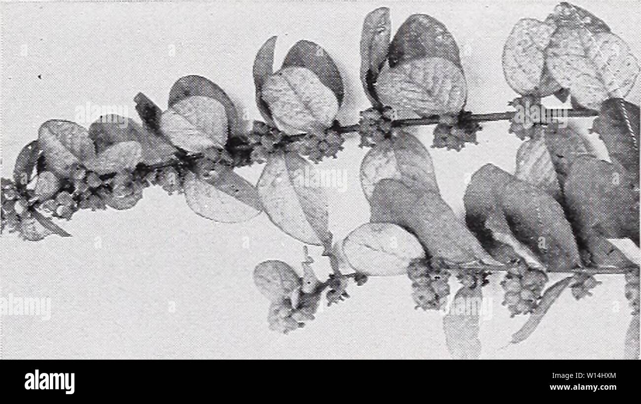 Descriptive price list hi-res stock photography and images - Alamy