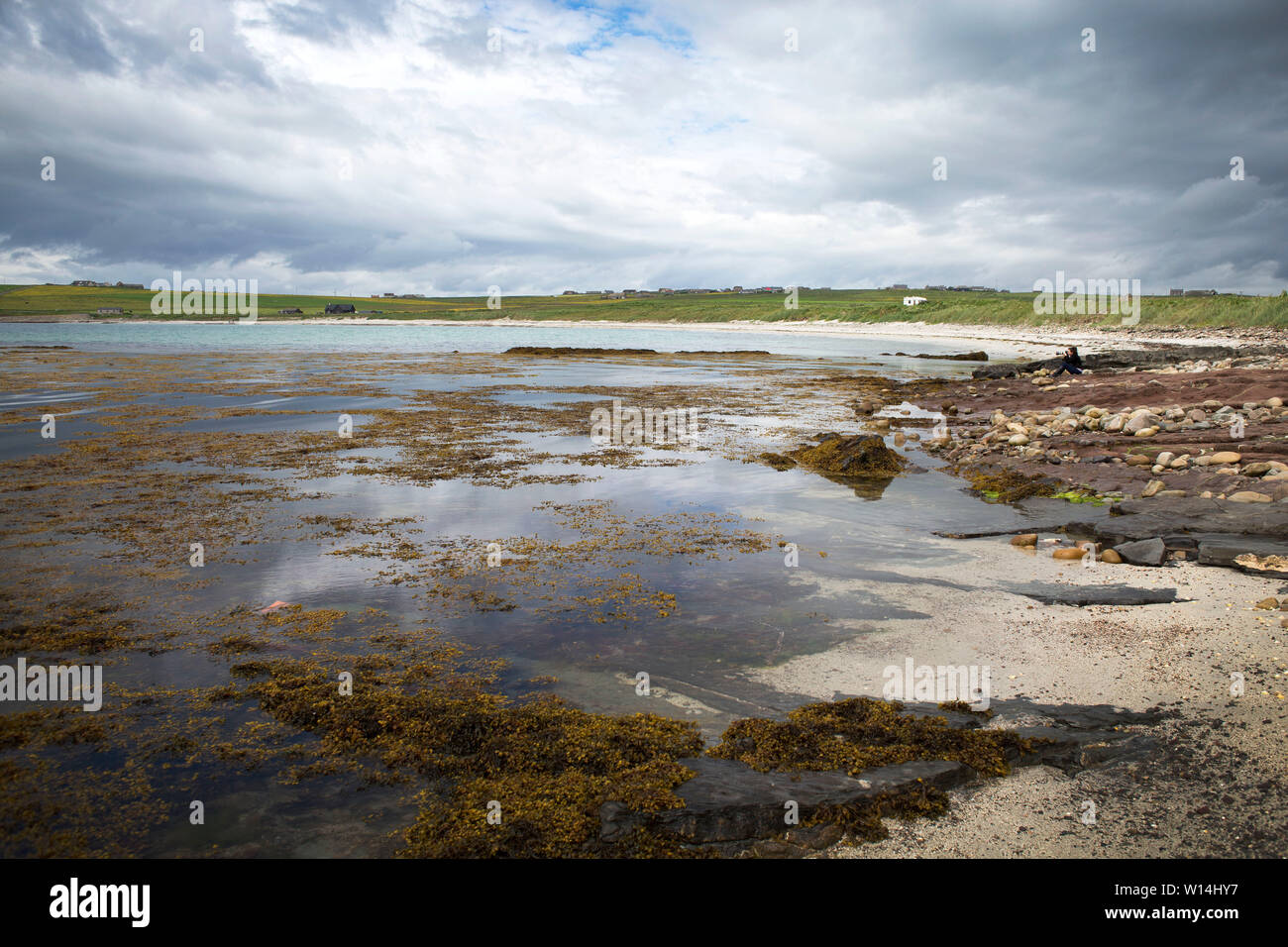 Newark Bay, Orkney Islands, Scotland, Uk Stock Photo - Alamy