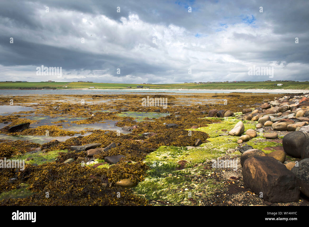 Newark Bay, Orkney Islands, Scotland, Uk Stock Photo - Alamy