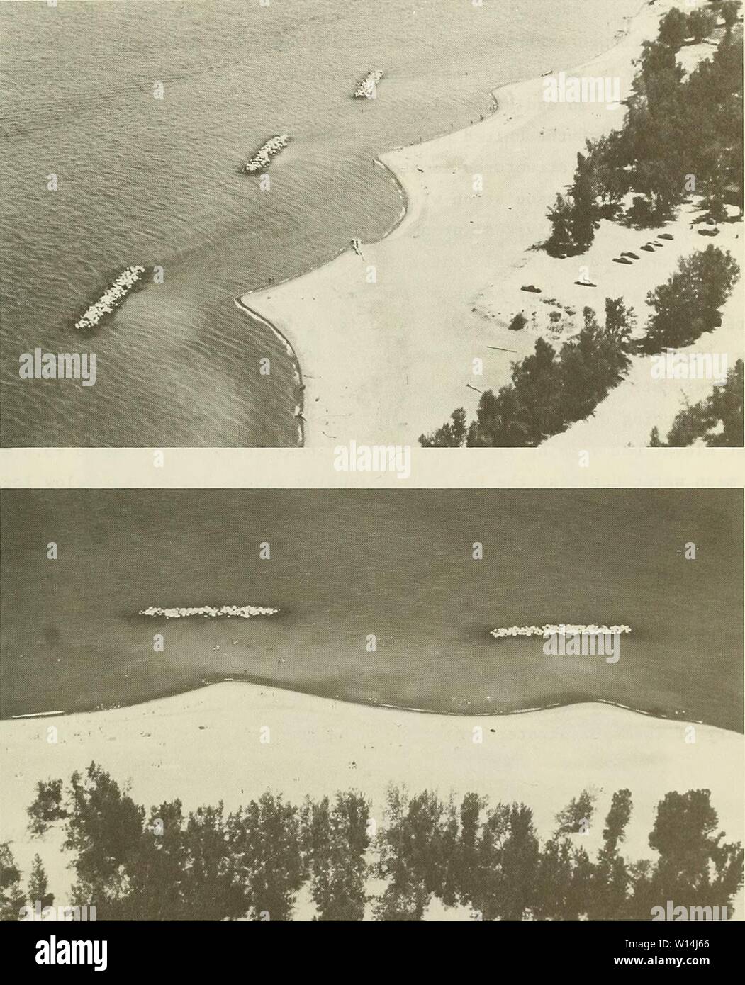 Archive image from page 16 of Detached breakwaters for shore protection ...