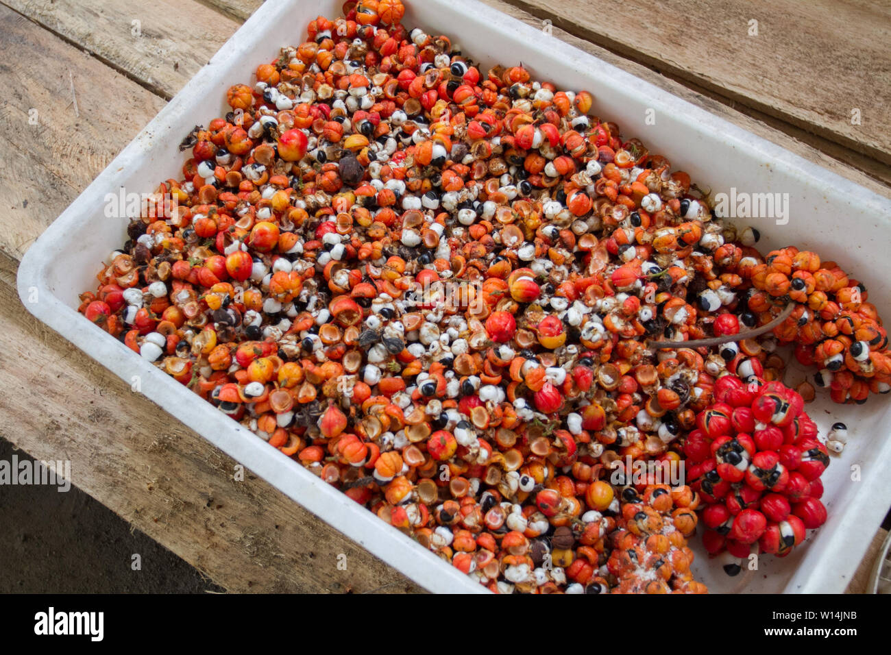 Guarana - Amazon Fruit - Amazonas - Brazil Stock Photo - Alamy