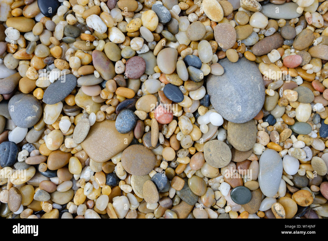 Sea pebbles of various shapes and colors Stock Photo - Alamy