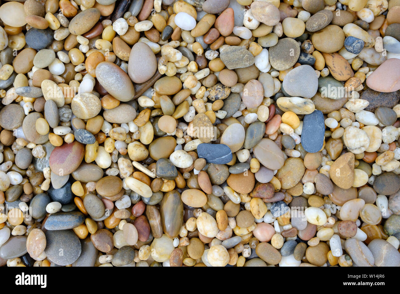 Sea pebbles of various shapes and colors Stock Photo - Alamy