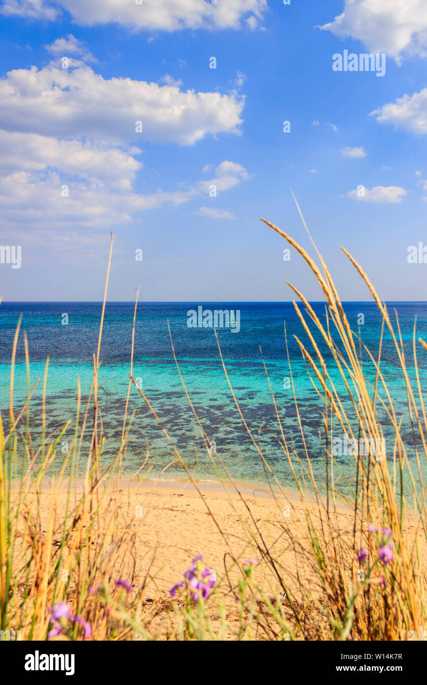 Apulia coast: Marina di Lizzano beach (Taranto). The coastline is ...