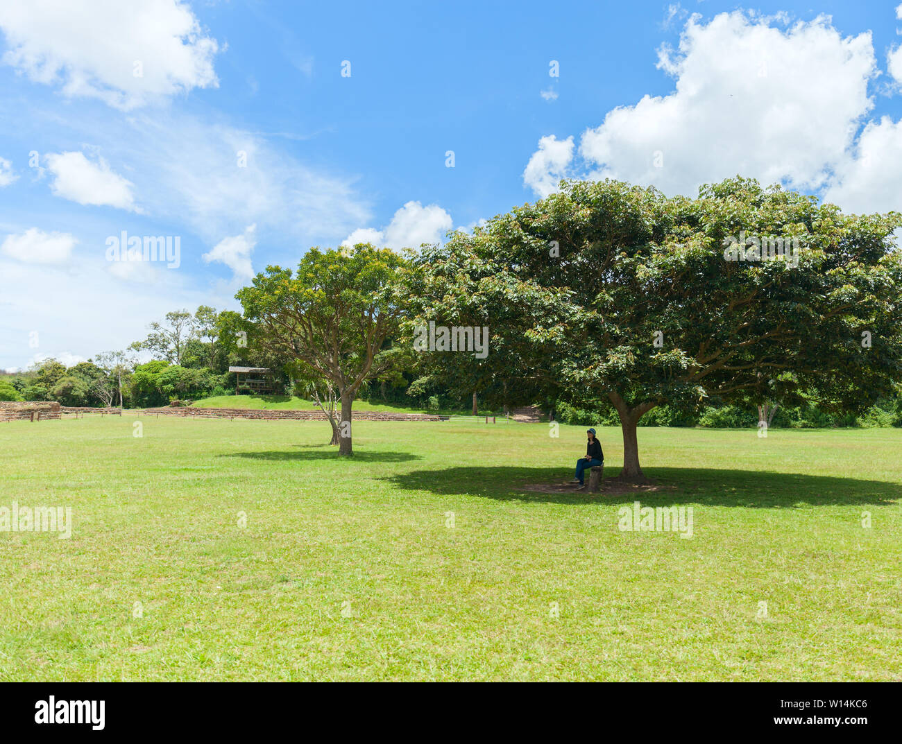 Lonely tree and a woman sitting in the shade of a tree crown on a hot ...