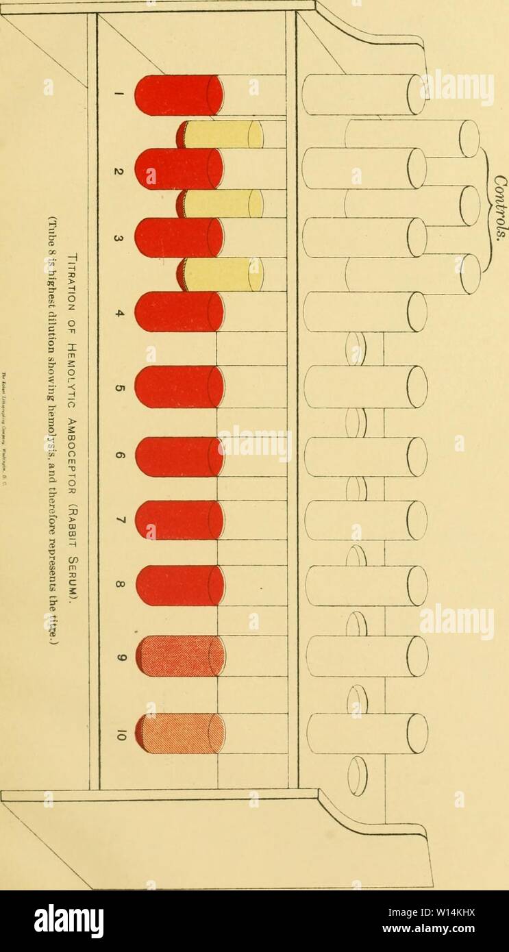 Archive image from page 18 of The diagnosis of glanders by. The ...